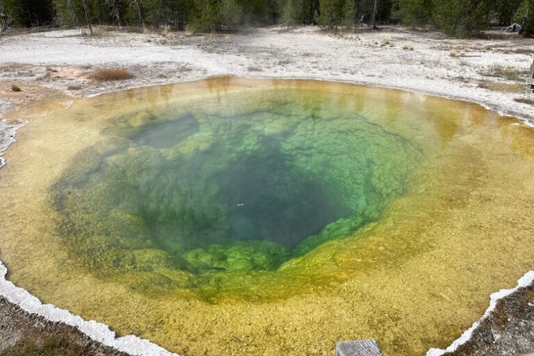 【知らないと損】イエローストーン国立公園｜観光の見どころ・モデルコース・ツアー | つきらいふ in the USA