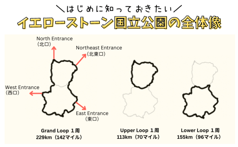 【知らないと損】イエローストーン国立公園｜観光の見どころ・モデルコース・ツアー | つきらいふ in the USA